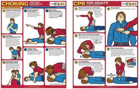 Buy DSS First Aid Wall Charts (Choking Emergency Wall Chart) Online at ...