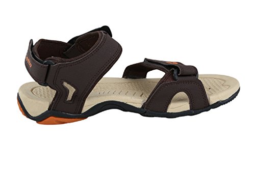 Buy Lotto Men's Sandal Albert Brown Orange GT8066 UK/UN on Amazon ...