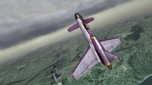 Wii Games: Wii Flight Simulators and Accessories — Wii Accessories