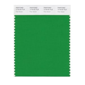 Pantone Smart Swatch 17-6153 Fern Green: Amazon.ca: Tools & Home ...