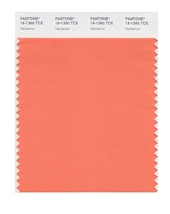 Amazon.com: PANTONE SMART 16-1360X Color Swatch Card, Nectarine: Home ...