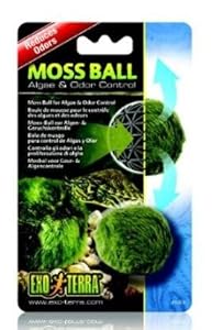 Exo Terra Moss Ball, moss, ball, marimo, moss, balls, aquatic, moss ...