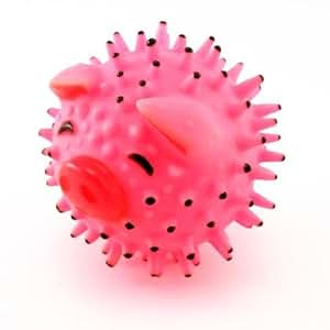 Pet Supplies : Squeaky Rubber Pig Dog Toy : Amazon.com