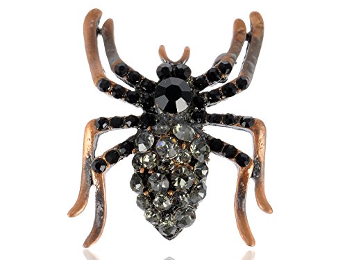 How Spiders are Helpful and Harmful to Humans