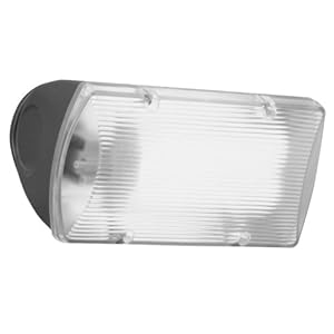 All Pro Outdoor Security FNF26PC 26-Watt Fluorescent Floodlight with ...