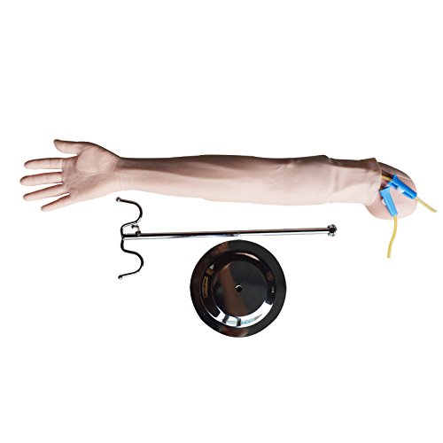 Price tracking for: IntBuying Education Model Adult Venipuncture ...