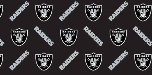 NFL Oakland Raiders Wrapping Paper Arts Entertainment Party Celebration ...