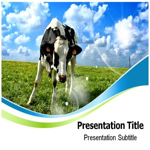 Amazon.com: Cow PowerPoint Template - Slides PPT Templates on Cow ...