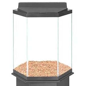 Amazon.com : 35 Gallon Hexagon Black Tank (23 X 20 X 24") : Pet Supplies