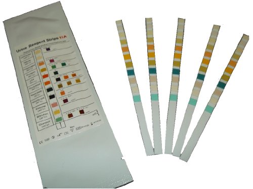1 Packet (5 Strips) 11 Parameter Professional/GP Urinalysis Multisticks ...