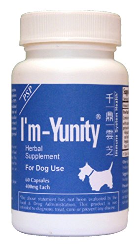 Canine Cancer: New, Inexpensive Treatment Prolongs Life for Dogs with ...