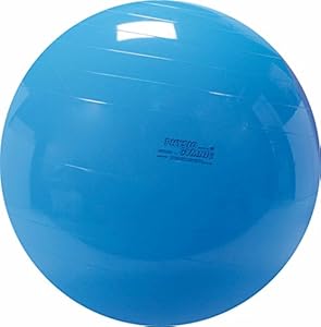 Amazon.com : Gymnic Physio Exercise Ball, Blue (95 cm) : Exercise Balls ...