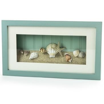 Shell Shadow Box : Wall Decor