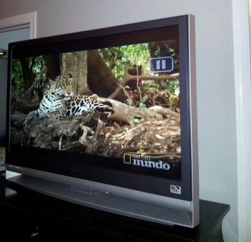 Amazon.com: Sony KDF-E42A10 42-Inch LCD Rear Projection Television ...