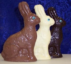 Amazon.com : 5.5 Inch White Chocolate Hollow Easter Bunny : Chocolate ...