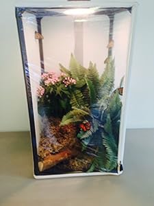 Amazon.com: Butterfly Cage-Butterfly, Moth, Insect, Animal Rearing ...