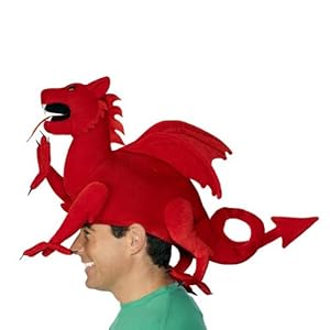 Welsh Dragon Hat Red, Adult, Felt, Stuffed, Fancy Dress: Amazon.co.uk ...
