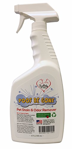 POOF BE GONE Pet Stain and Odor Remover - Eliminates Tough Stains - All ...