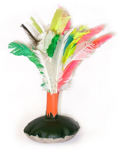 What is Indiaca? A fun backyard sport that's fun for the Whole Family!