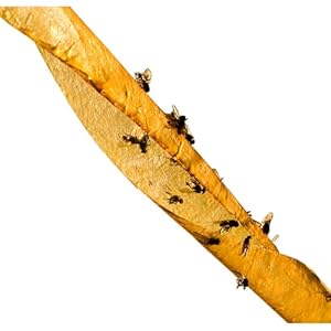 8 x Fly Insect Bug Catcher Trap Tape Strips Ribbon: Amazon.co.uk ...