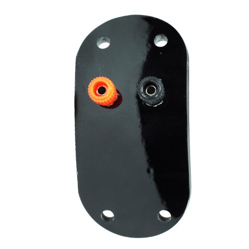 Folsom Electro Vaginal Shield | Nakosite