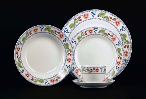 Euland China FQ-002WR Wild Roses Dinnerware Set – Service For 8 ...