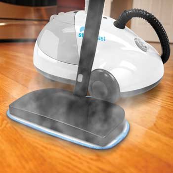 Multi-Purpose Steam Cleaner