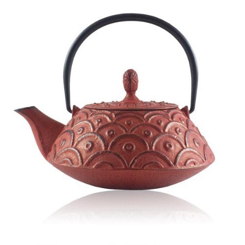 Opiniones de The Exotic Teapot POTCA-KASUMI. Comprar en Amazon.es ...