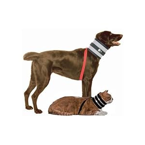 Amazon.com : BiteNot Collar 3.5 x 16 : Pet Recovery Collars : Pet Supplies
