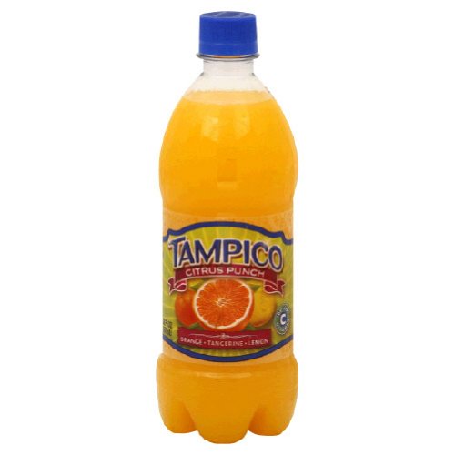 Amazon.com : Tampico, Juice Citrus Punch Pet, 20-Ounce (12 Pack ...