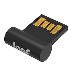 Amazon.com: Leef Surge USB 2.0 32GB Low Profile High Speed USB Flash ...