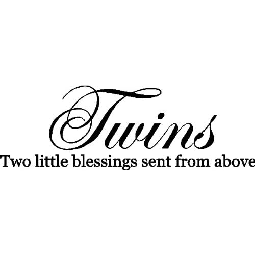 Twin Quotes. QuotesGram