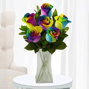 Amazon.com : Fiesta Roses Long Stem Rainbow Roses - 6 Stems with Vase ...