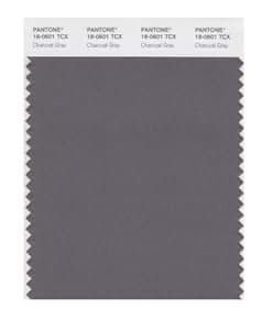 Amazon.com: PANTONE SMART 18-0601X Color Swatch Card, Charcoal Gray ...