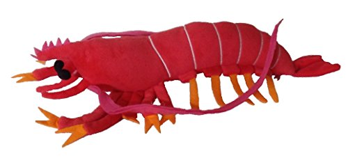 Top 5 Best shrimp toy for sale 2016 | BOOMSbeat