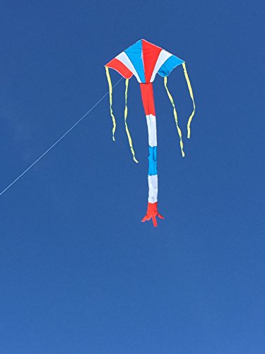 High Flying Delta Shaped Kite, Blue, Red, White Stripped - 42-inch ...