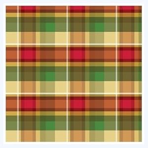 Amazon.com: Woodland HIGHLAND PLAID Christmas Gift Wrap Wrapping Paper ...