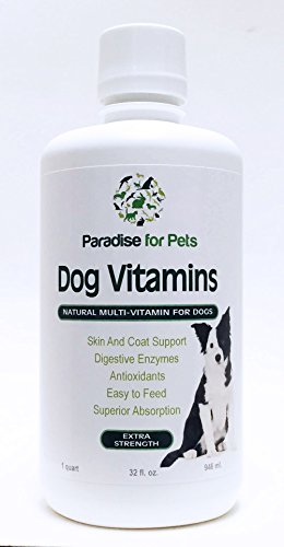 Top 5 Best liquid dog vitamins and supplements for sale 2016 | BOOMSbeat