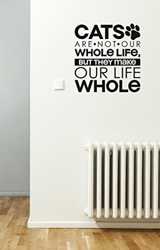 Funky Humor with Cat Wall Quotes : Funk This House