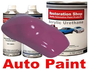 Amazon.com: Magenta QUALITY ACRYLIC URETHANE Car Auto Paint Kit: Automotive