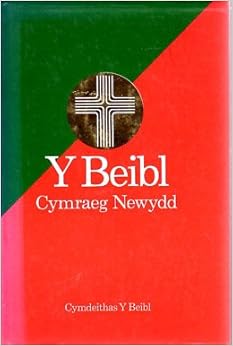 Y Beibl Cymraeg Newydd (New Welsh Bible): Anon: 9780564057337: Amazon ...
