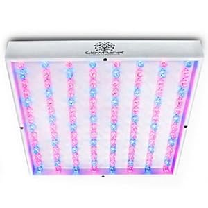 Sunshine Systems LEDGP14 GlowPanel 14 Watt LED Grow Light - FlyTrapCare Forums