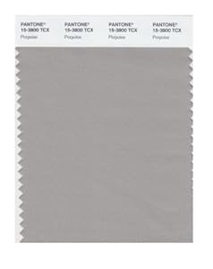 Amazon.com: Pantone 15-3800 TCX Smart Color Swatch Card, Porpoise: Home ...