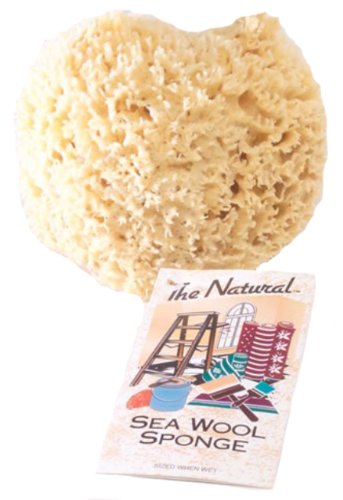 The Best Kitchen Cleaning Sponge of 2016 - Your Best Digs