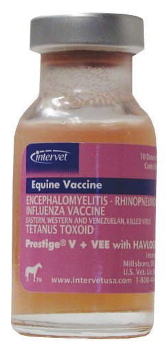 Prestige V+VEE With Havlogen (killed virus) 10 Dose Vial | Horses Pet ...