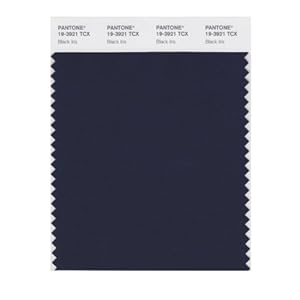 PANTONE SMART 19-3921X Color Swatch Card, Black Iris