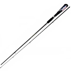 Amazon.com : Daiwa Sweepfire 2 Piece 6-Feet Pistol Grip Rod ...
