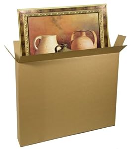 Amazon.com: EcoBox 52 x 8 x 60 Inches Corrugated Shipping/Moving Box ...