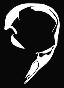 Amazon.com: Spawn Die Cut Vinyl Decal Sticker 8" Wht: Everything Else