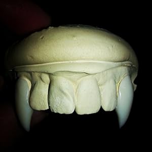 Amazon.com: Underworld Vampire Fangs Custom Fit to Your Teeth Movie ...